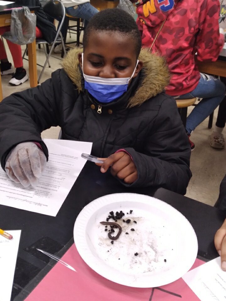 STEM Lab: Earthworms | Clarendon County School District